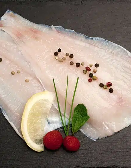 Plaice Fillet - Eco Raw Frozen Products