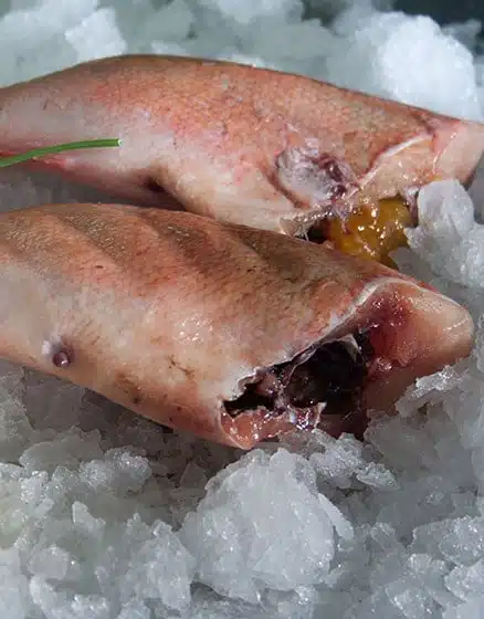 Redfish - Eco Raw Frozen Products